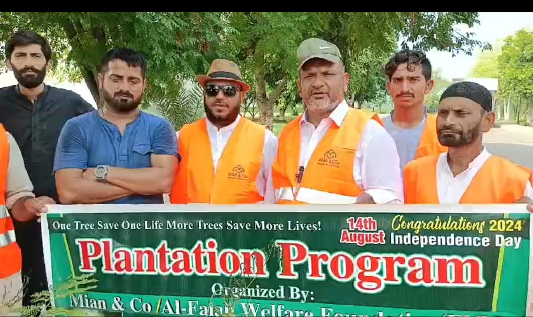 Importance of Tree Plantation - Best season for growth 2025